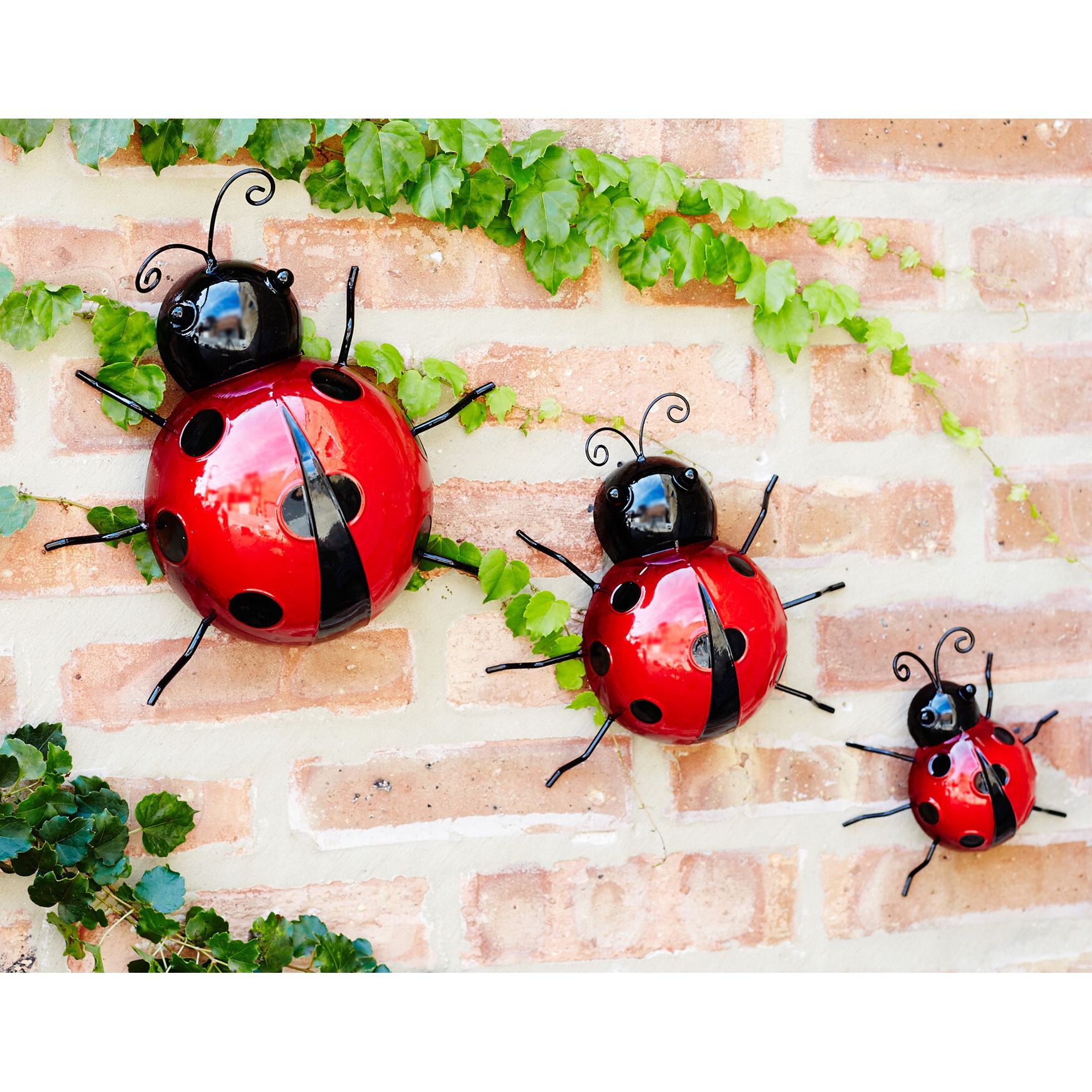 Fashionable Metal Lady Bug Garden Decor (Set Of 6), 4498274 | Roaman's