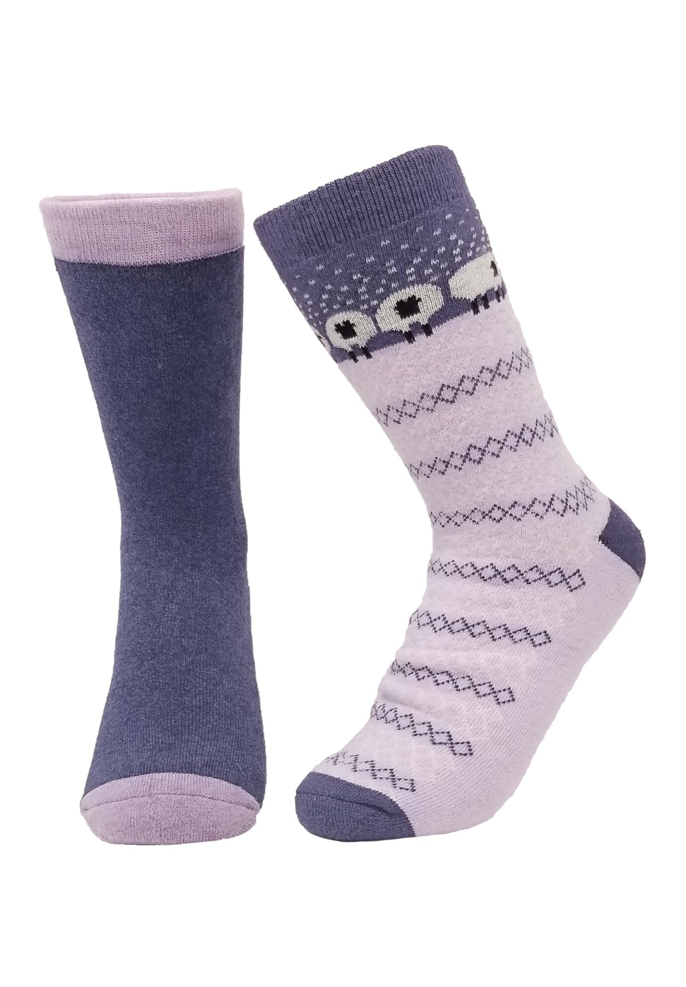 Plus Size Hosiery & Socks for Women | OneStopPlus